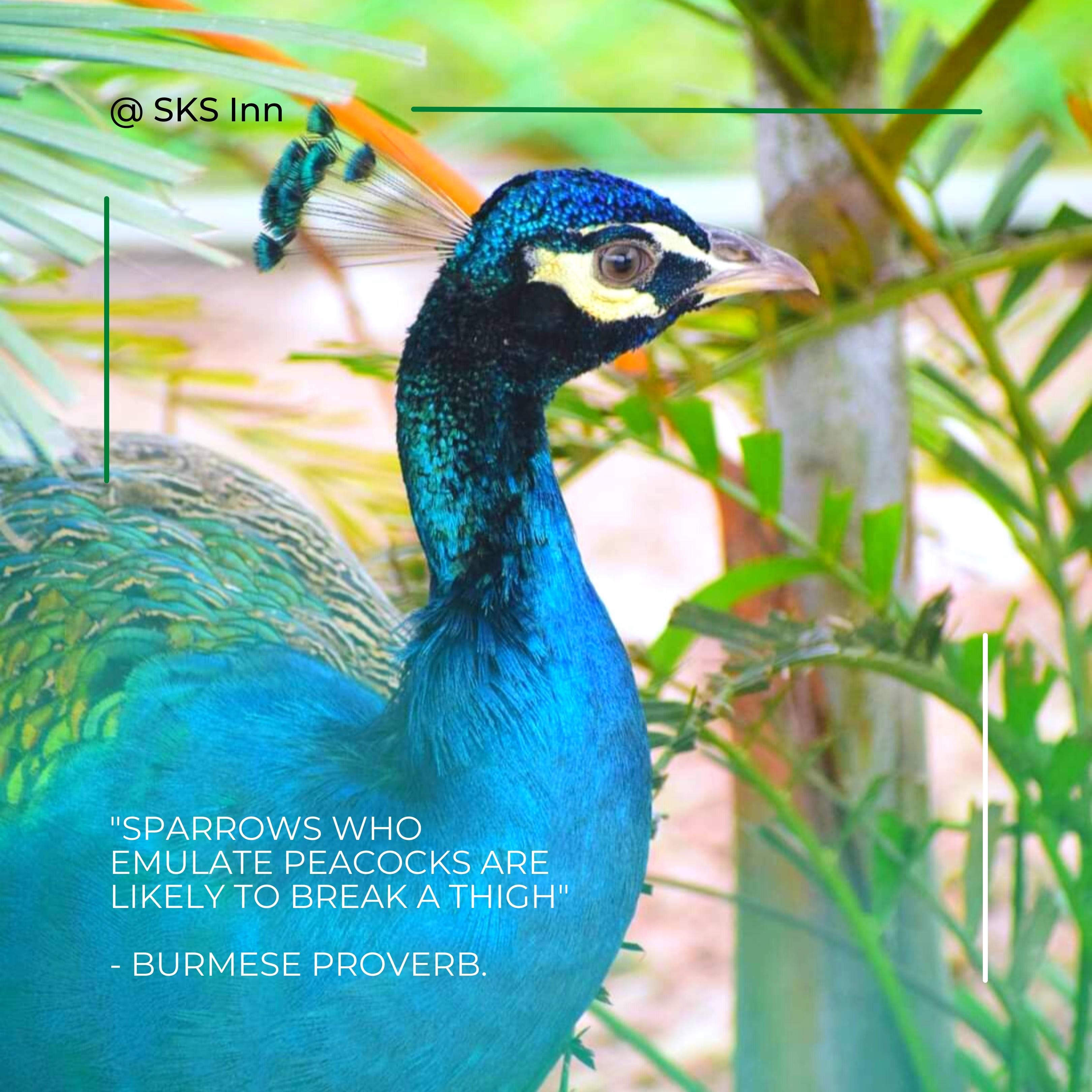 SKS Inn | Largest 4-Star Resort in North Bengal || Home